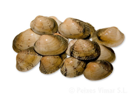 Almeja fina | Uno de los productos que vendemos en Peixes Vimar