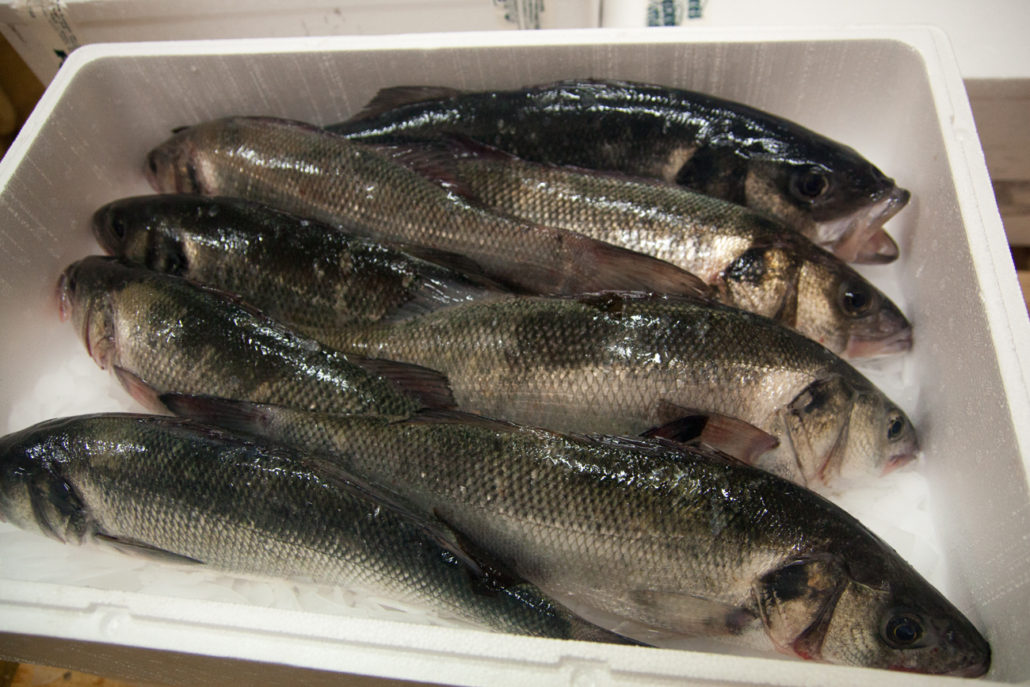 lubinas - Peixes Vimar